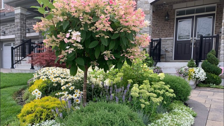 The Hydrangea Tree: A Stunning Addition to Your Garden